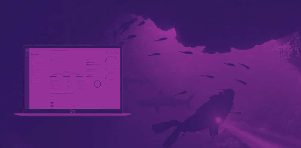 Pillir Case Study | Geeky Tech