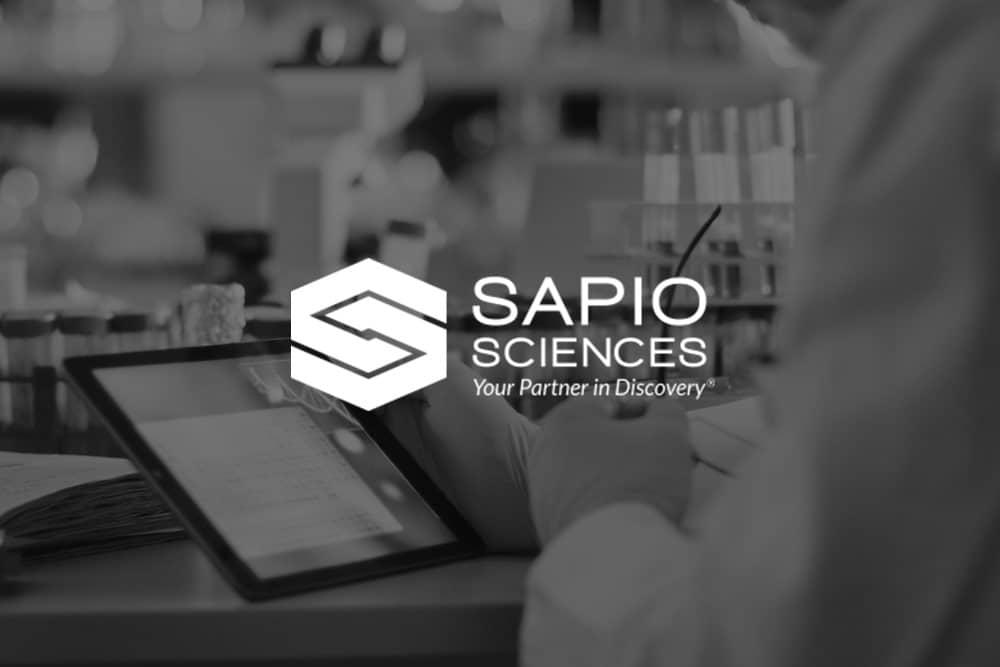 Geeky Tech’s Search Engine Optimisation Services | Geeky Tech